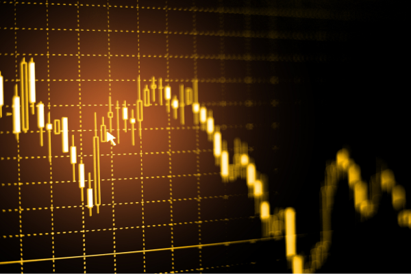 Trading and Broking Operations Level 1: Functions of Trading Members